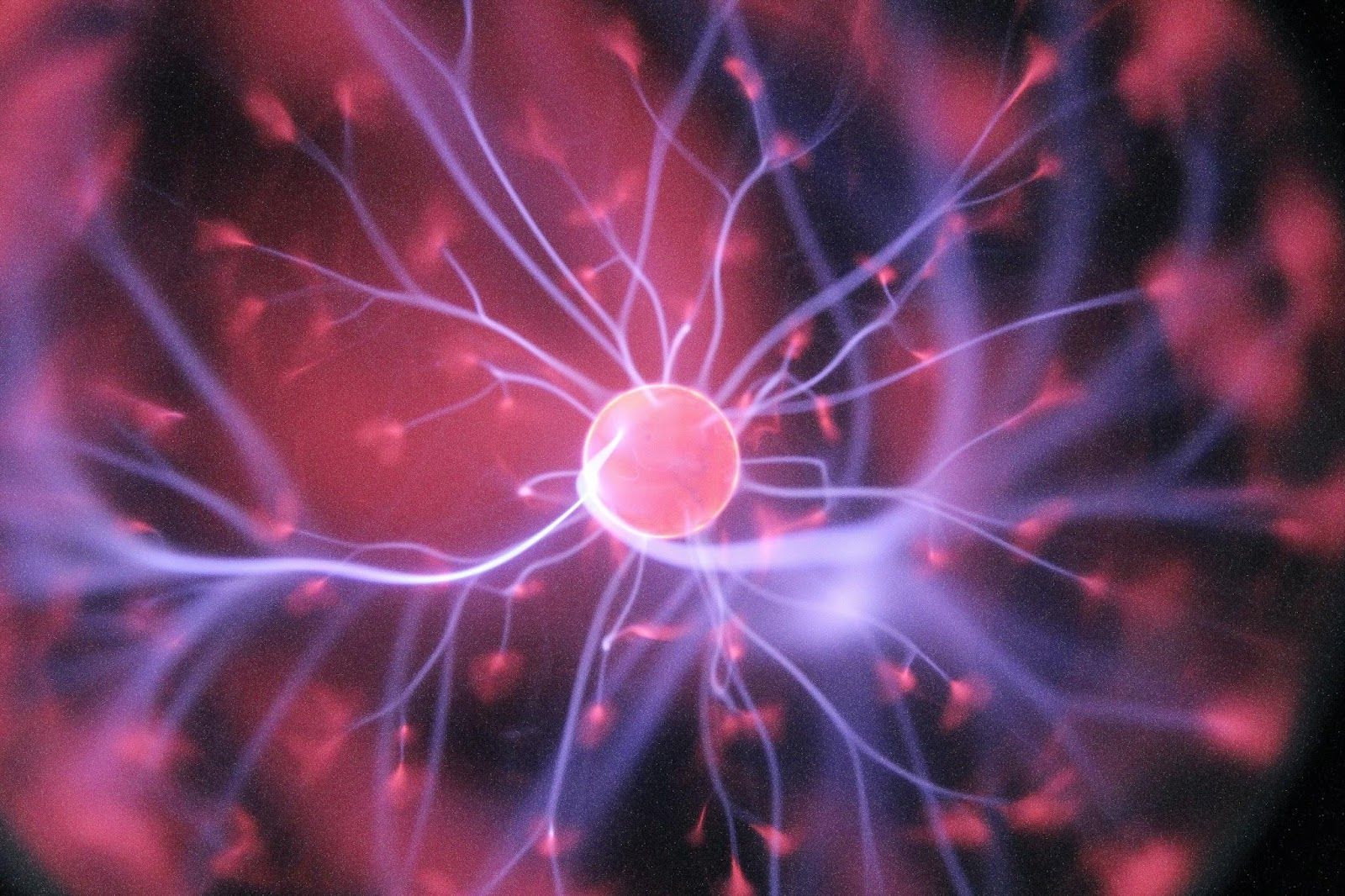10 Facts About Magnetism That Will Attract Your Attention