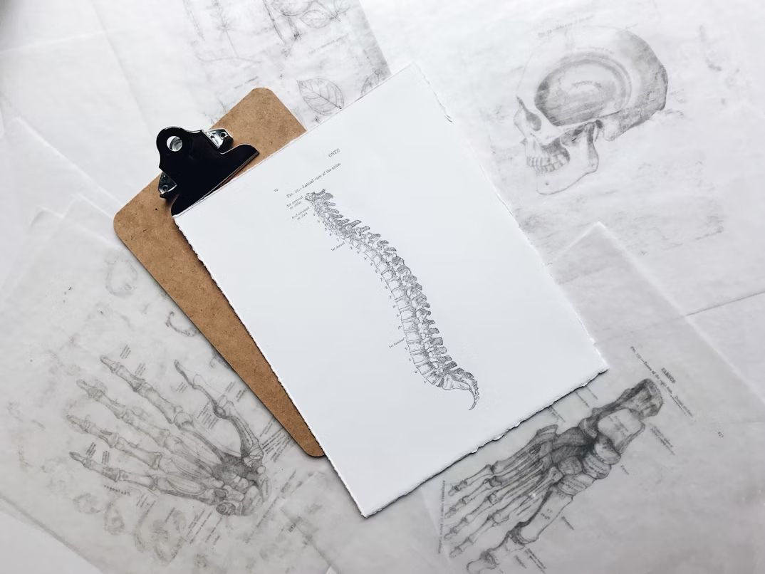 Offbeat Anatomy: 15 body oddities you may not know about